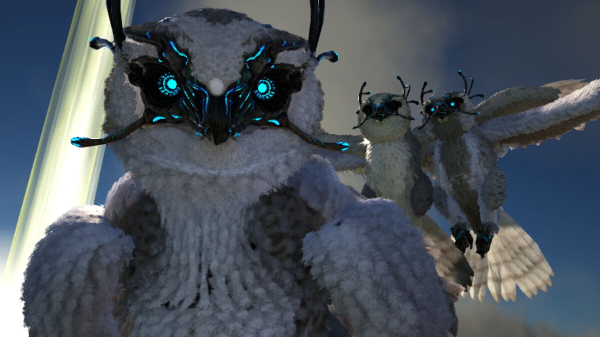 Harfang des neiges Ark : Comment l'apprivoiser, localisation... Tout ...