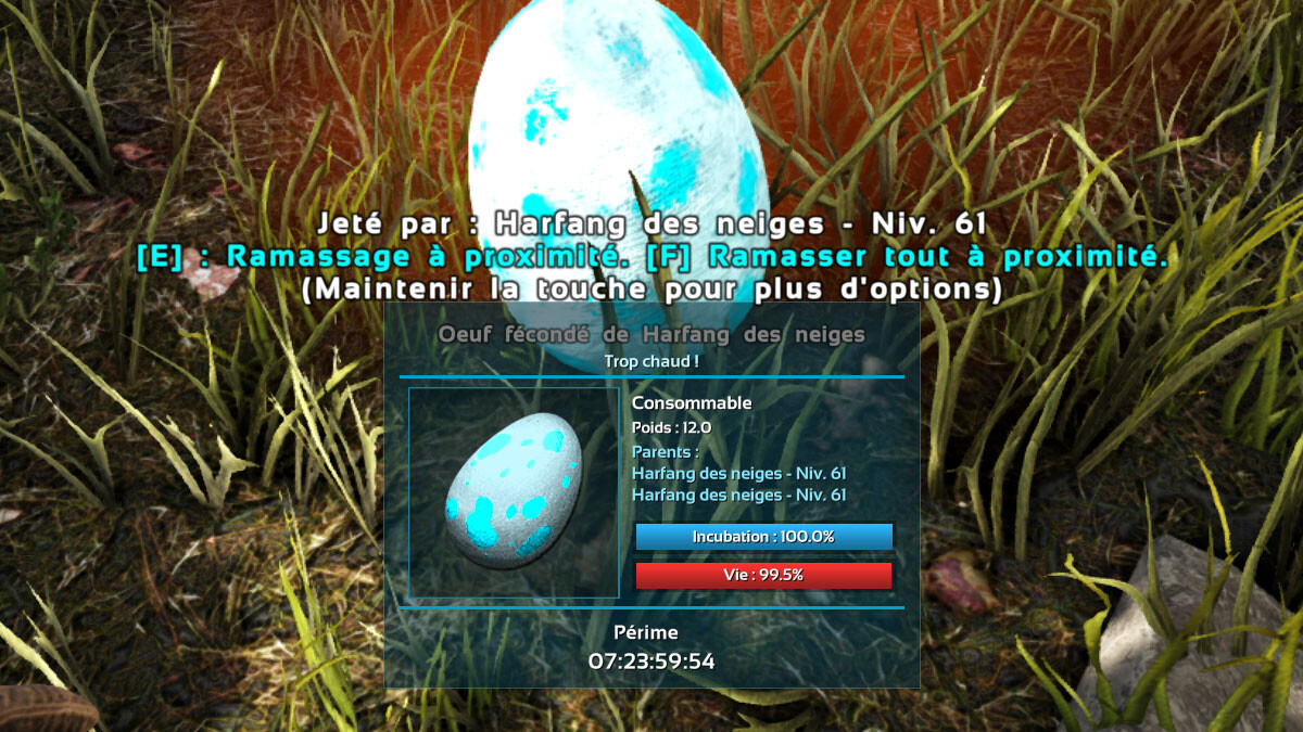 Harfang des neiges Ark : Comment l'apprivoiser, localisation... Tout ...