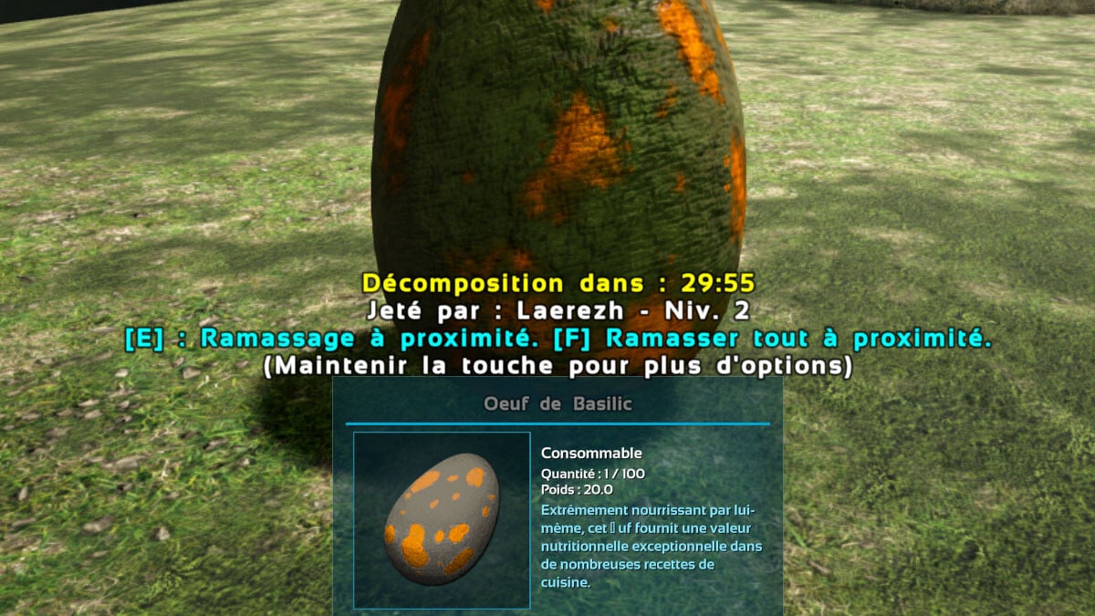 Basilic Ark : Comment l'apprivoiser, localisation... Tout savoir sur ...