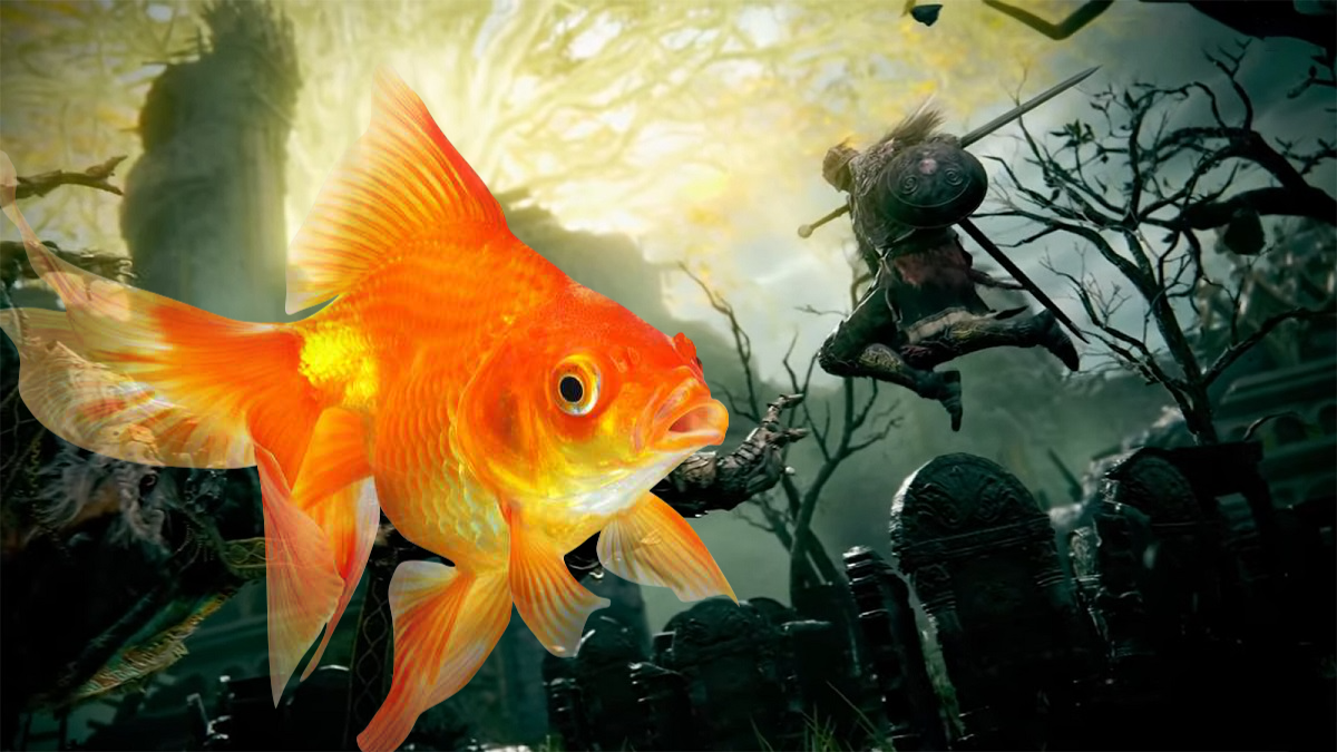 Ce poisson rouge arrive à terrasser l'un des boss les plus redoutables ...