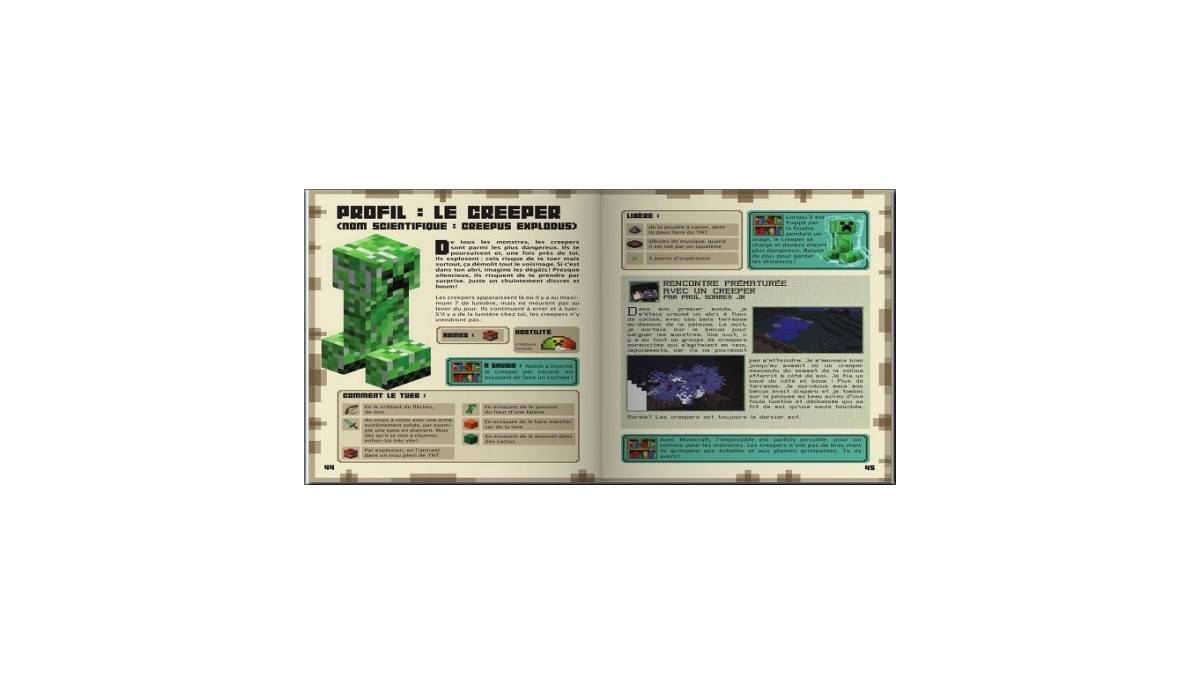 Deux livres Minecraft pour vous guider - Millenium
