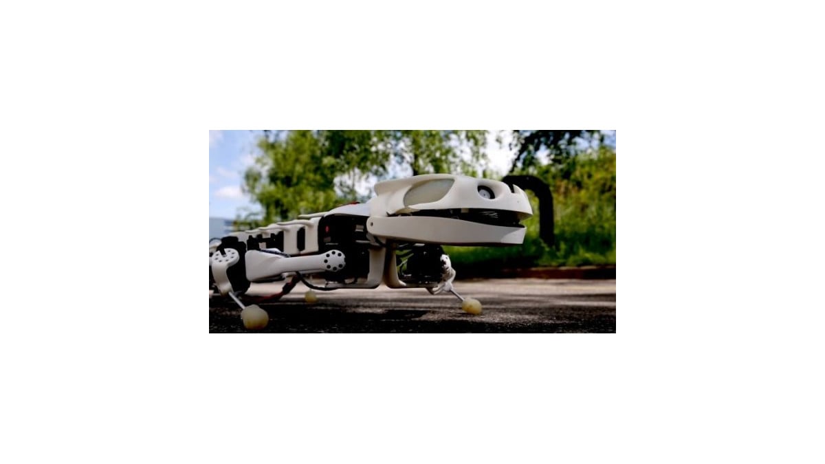 Pleurobot : le robot salamandre - Millenium