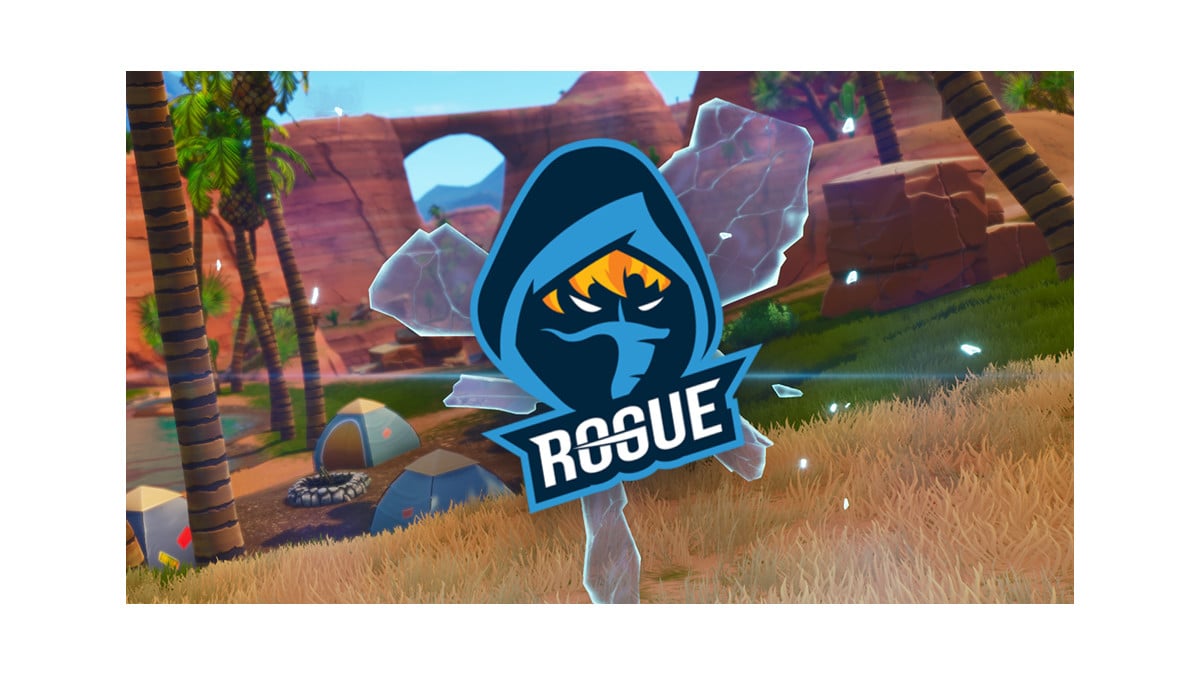 Fortnite : Team Rogue dévoile ses 8 joueurs dont DrLupo - Millenium