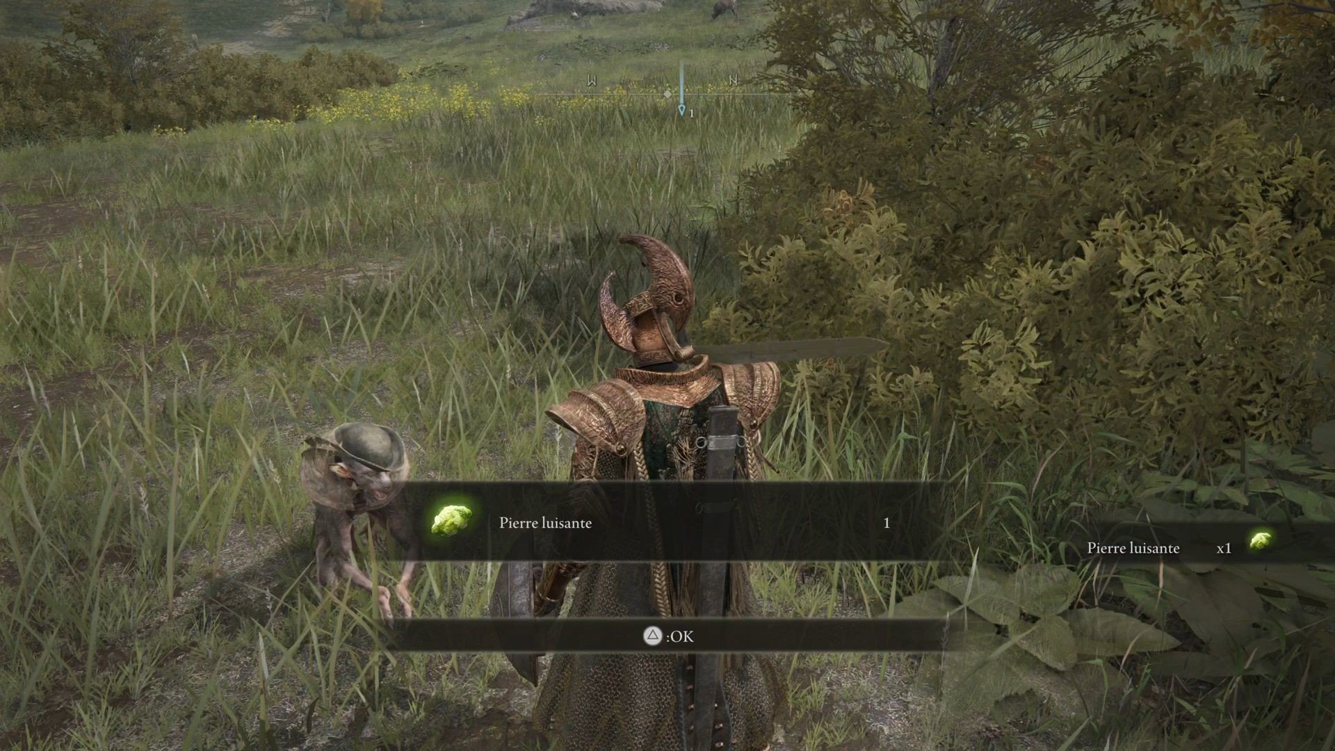 PNJ Invisible Elden Ring : Où le trouver et comment lui parler ...