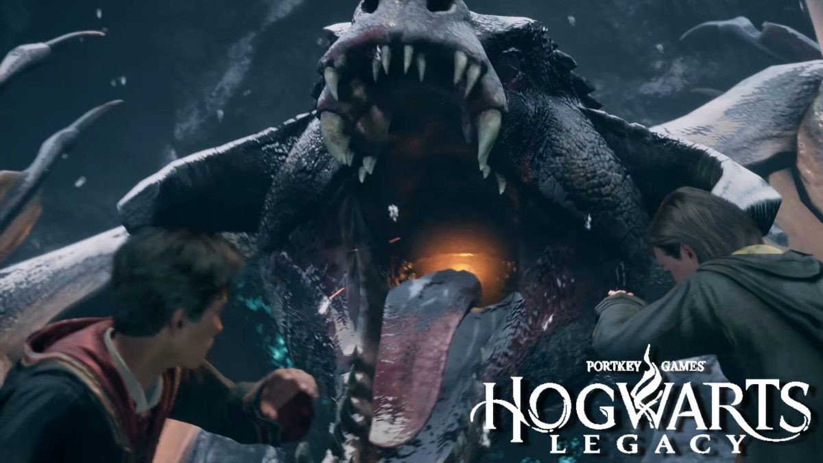 Hogwarts Legacy : Le boycott continue avec ce site qui prend une ...