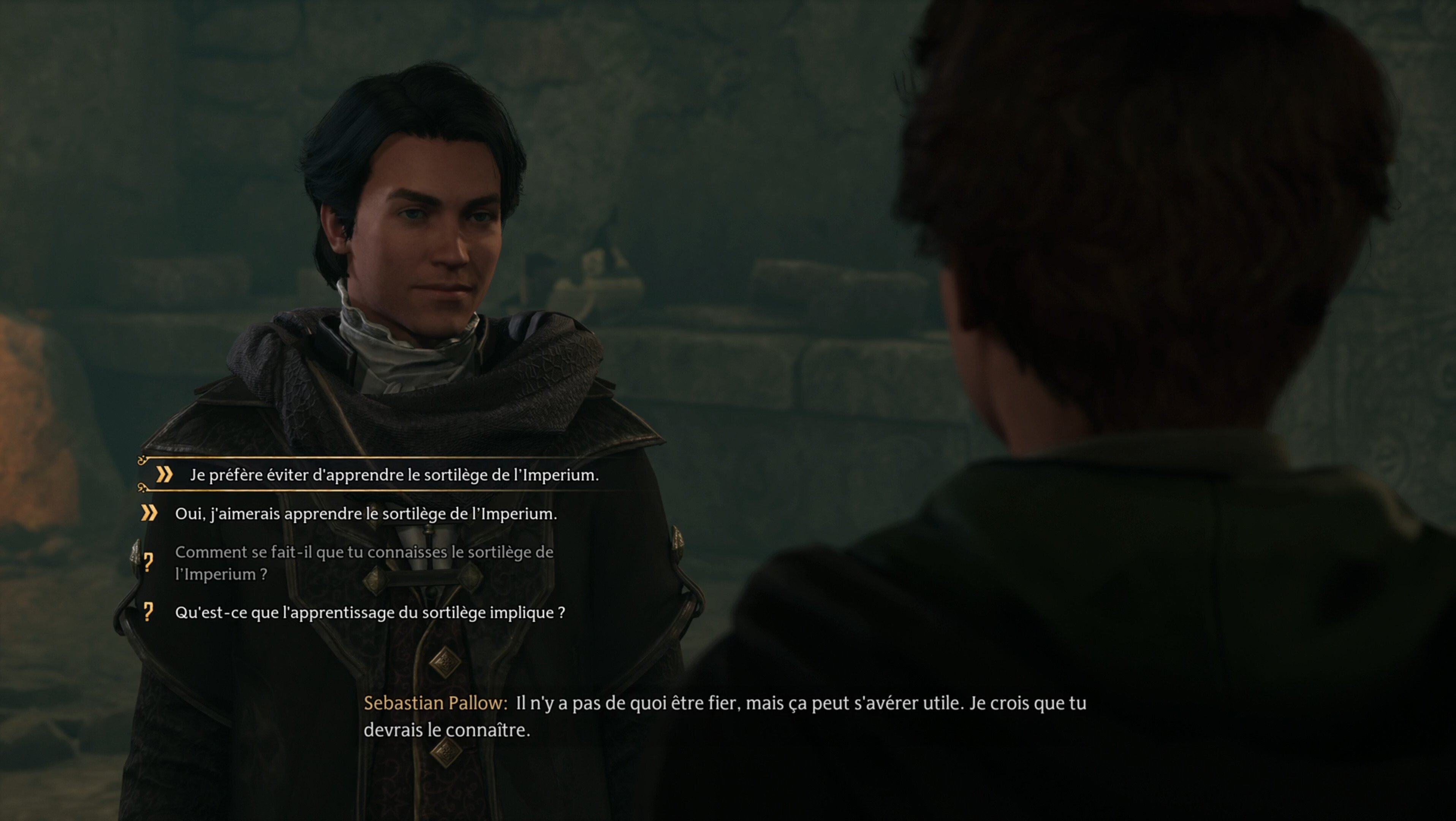 Sorts interdits Hogwarts Legacy : Comment apprendre les sortilèges impardonnables ? - Millenium