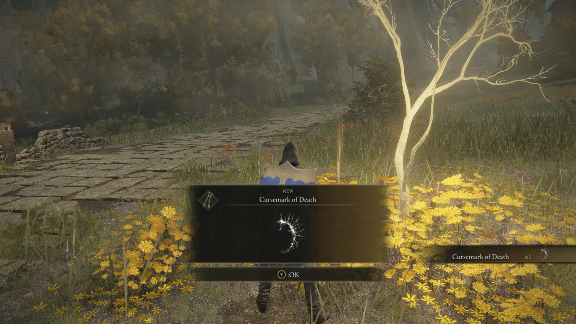 Randomizer Elden Ring : Comment installer un mod pour mélanger ...