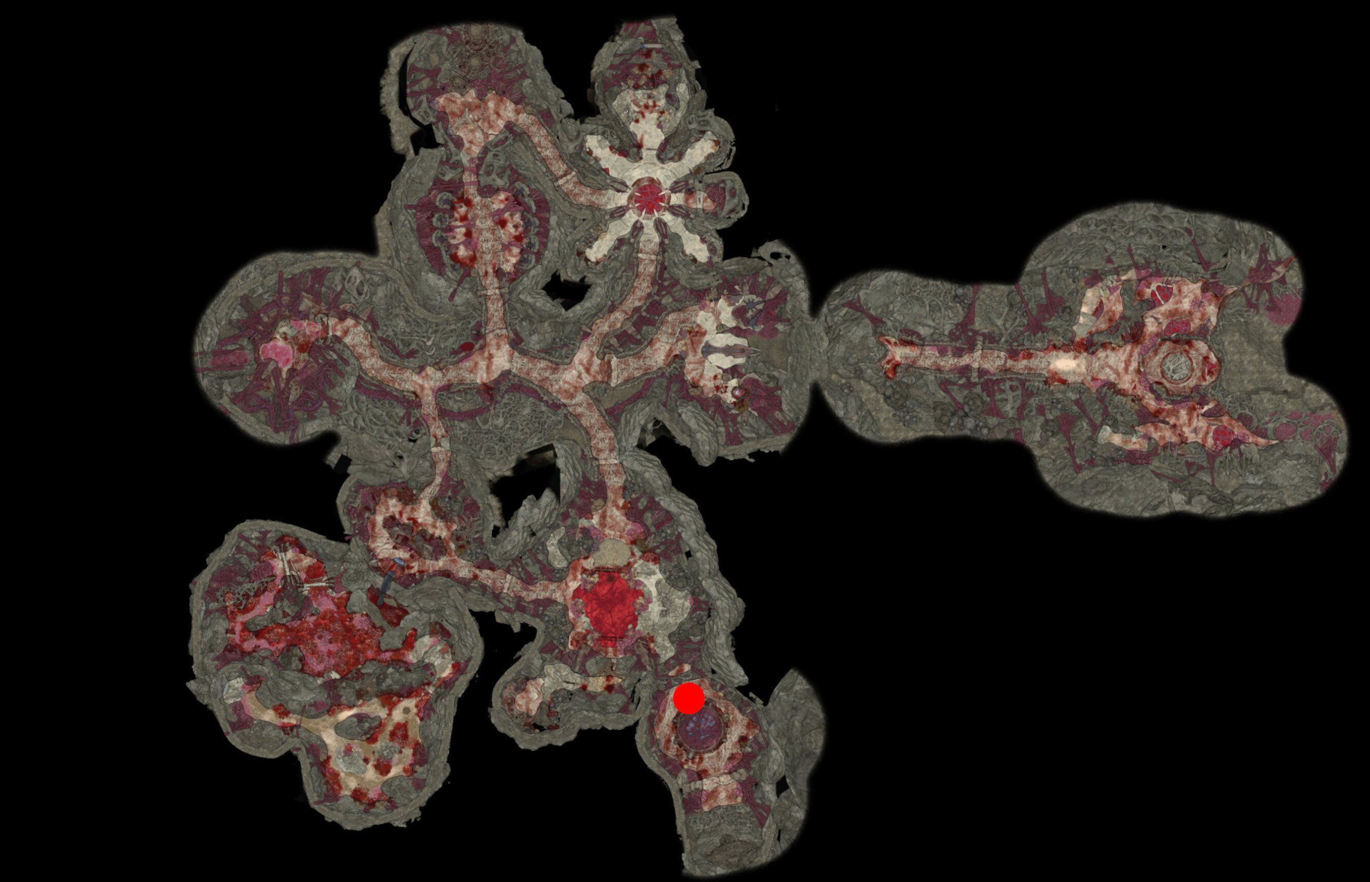 Laboratoire de nécromancie Baldur's Gate 3 : Comment résoudre l'énigme ...