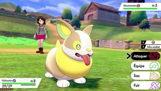 Voltoutou - Pokedex 8G, régional de Galar - Millenium